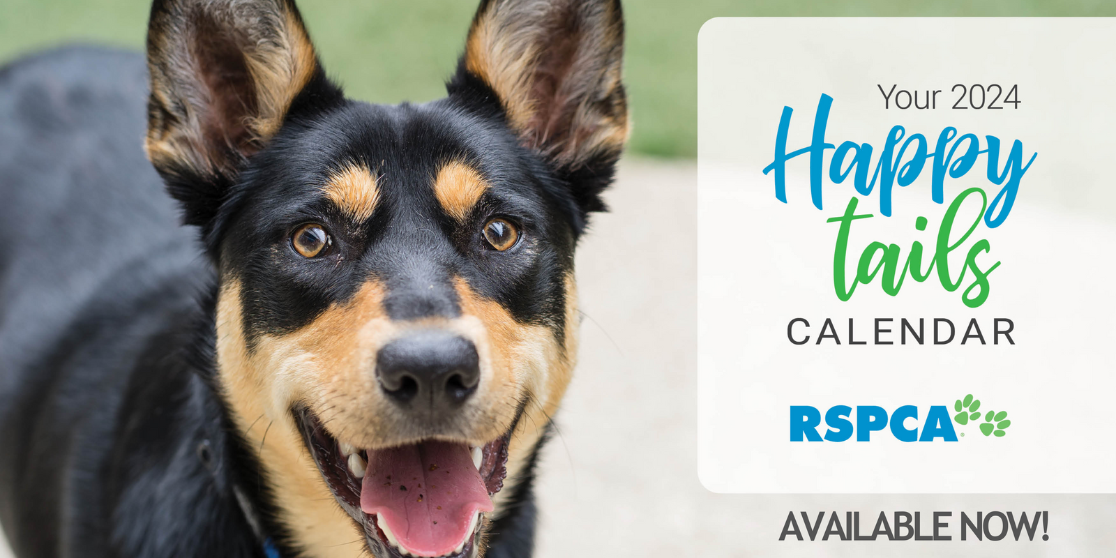 RSPCA Victoria: Online Store | Pet Supplies with a Difference– RSPCA VIC