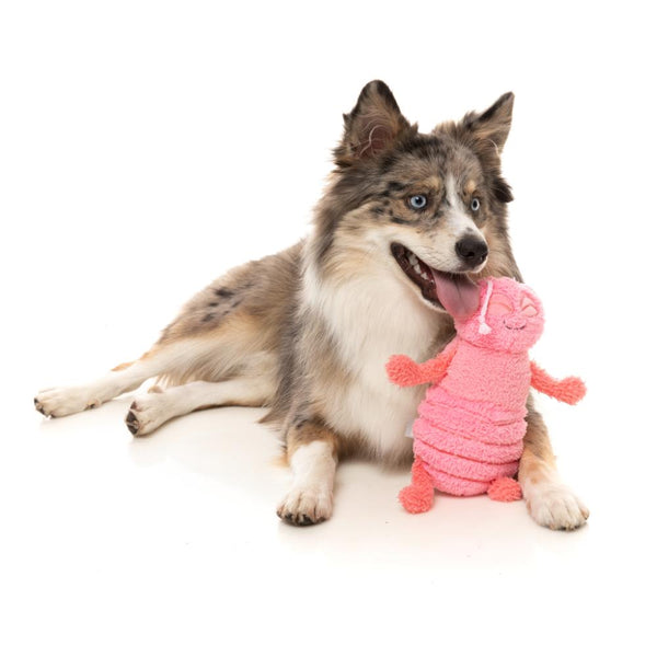 Fuzzyard Plush Dog Toy Flutter the Bed Bug - RSPCA VIC